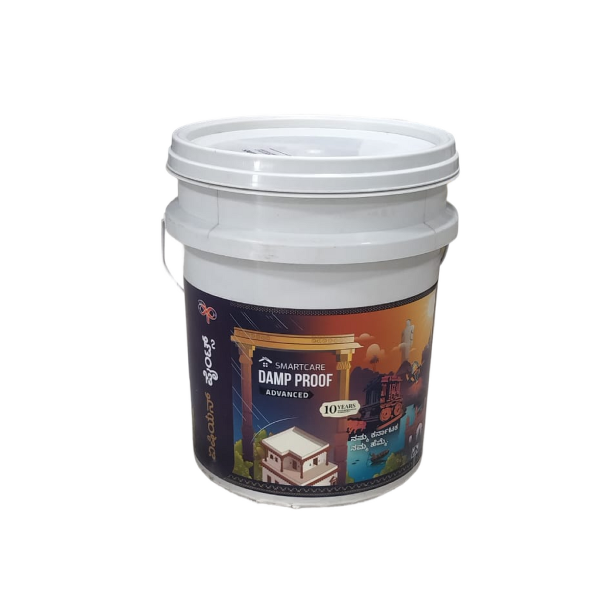 Asian Paints SmartCare Damp Proof Advanced – HomeRun